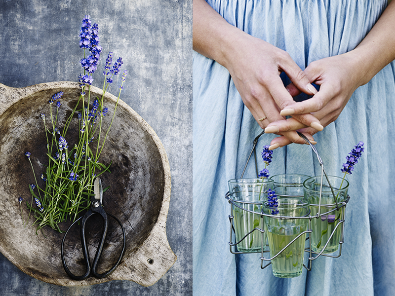 Referencer - Line Falck